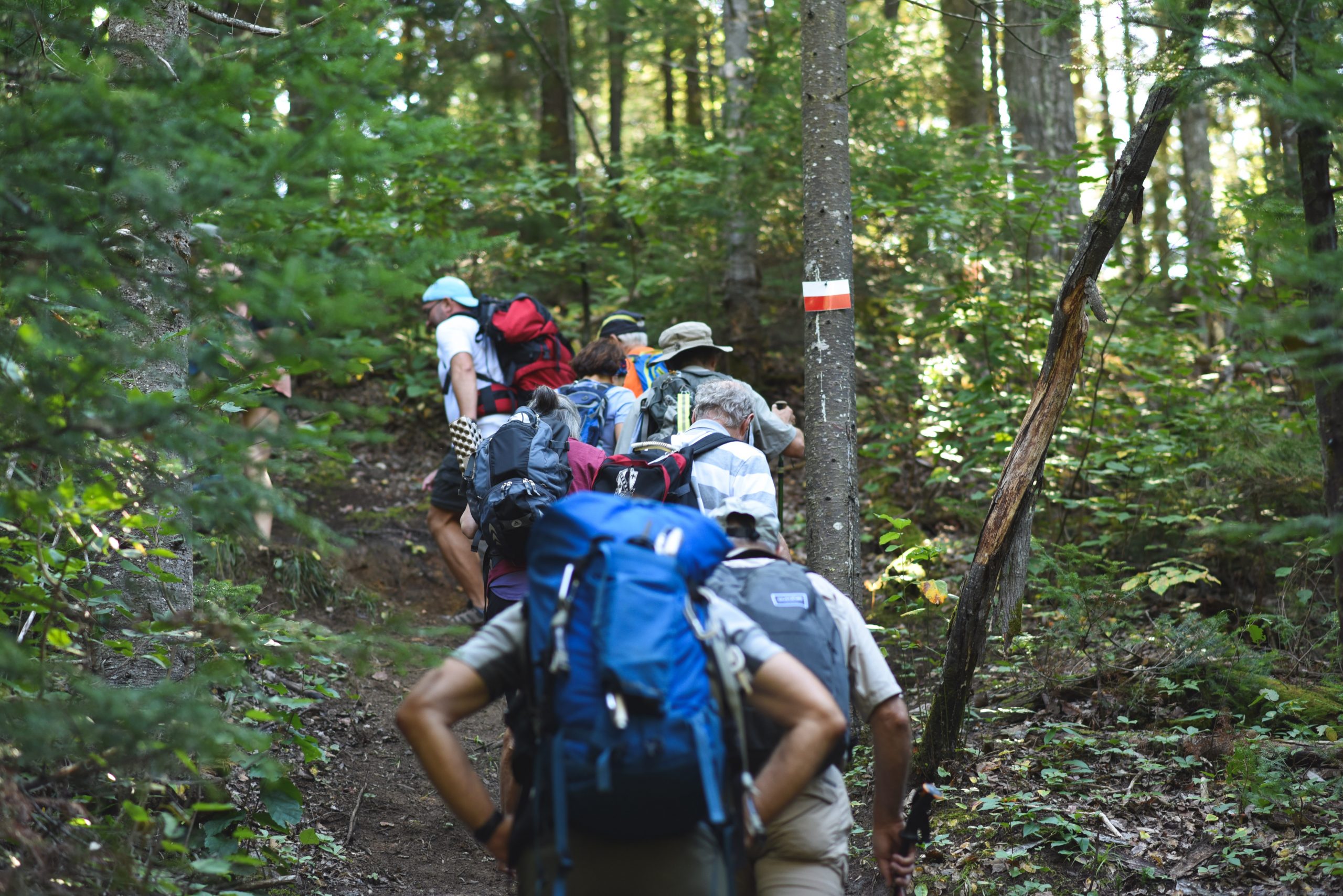 Formations pour les encadrant·e·s - Rando Québec